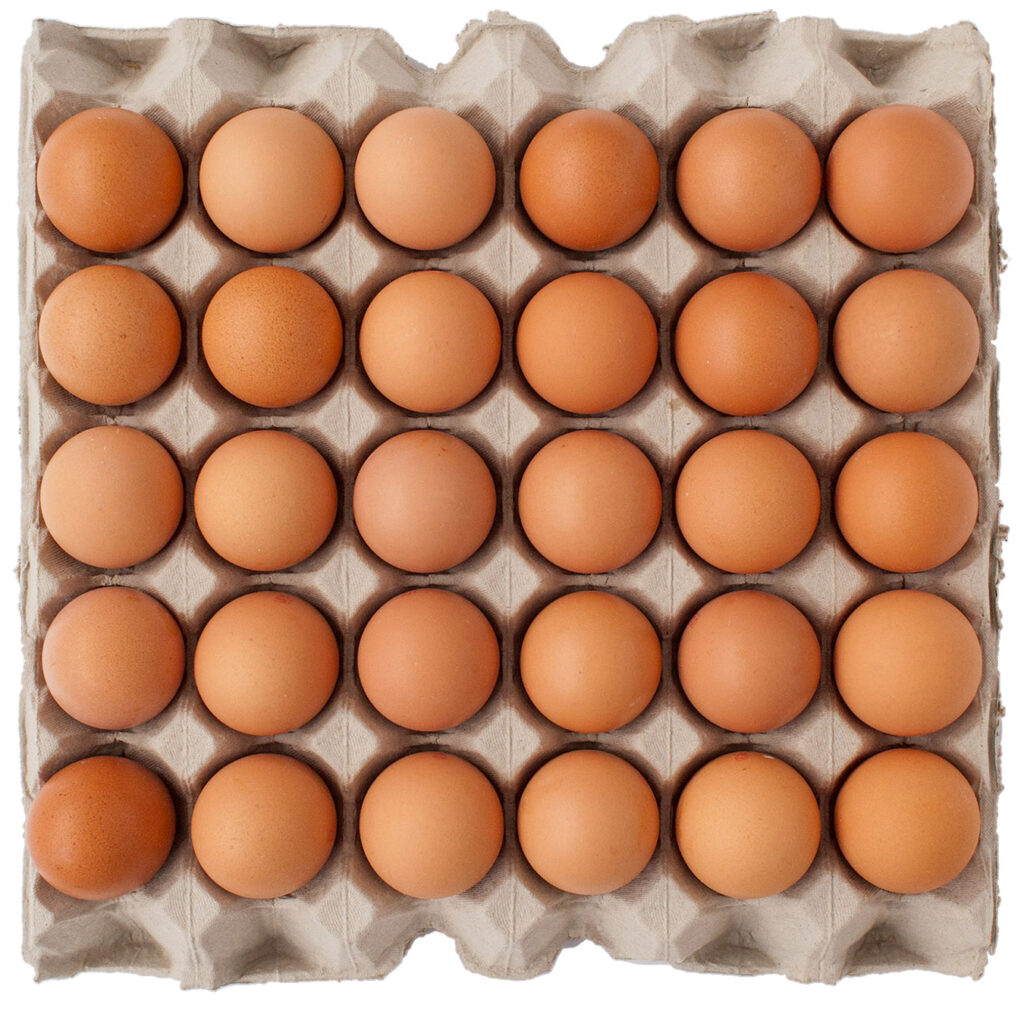 600g grain fed tray (30 eggs) – Casaccio Egg Farms