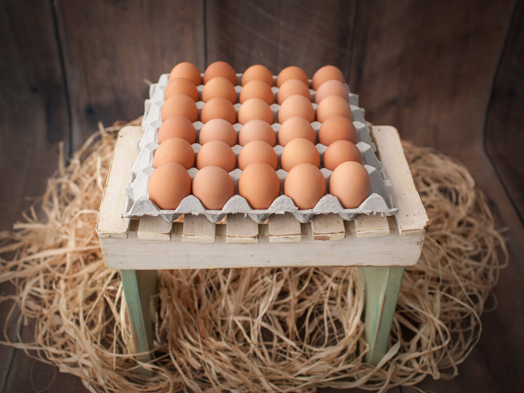 Our eggs – Casaccio Egg Farms